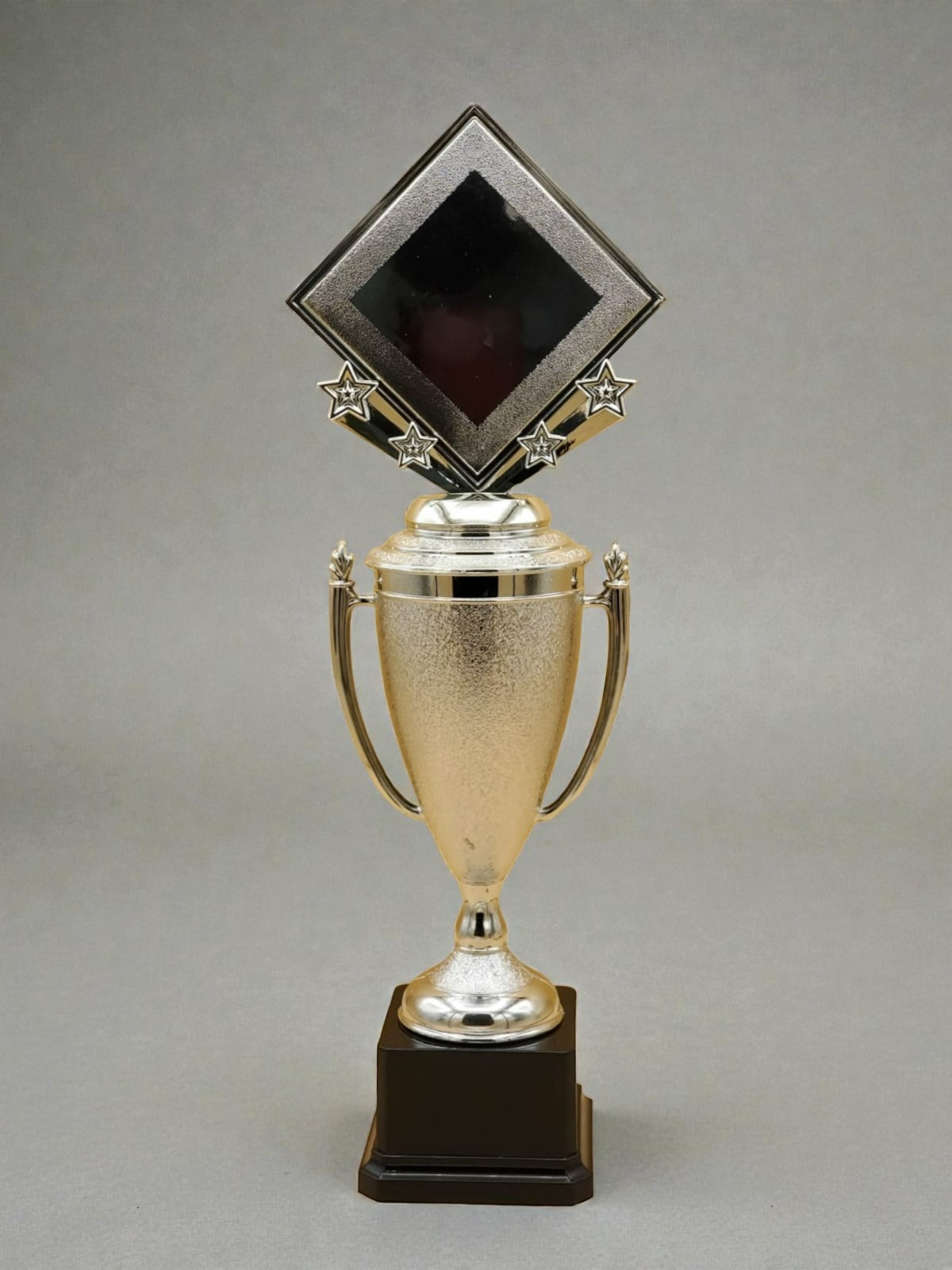 Stipple Cup Trophy – Taylor's Artmedia Awards